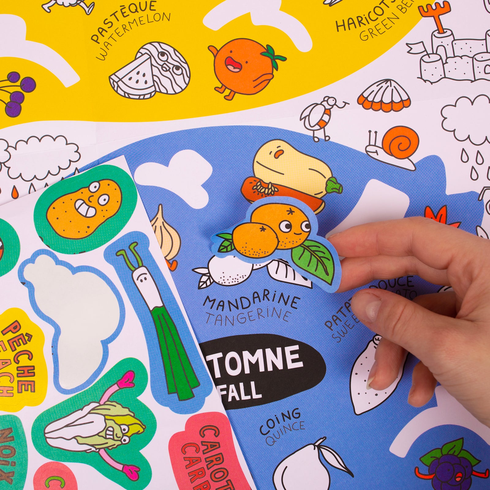 Fruits and Vegetables - OMY SCHOOL Educational Poster | Official Site ...